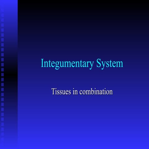 Integumentary system | PPT