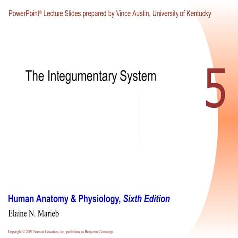 Integumentary system | PPT