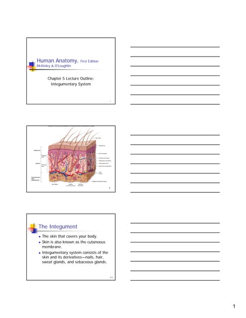 Lcp presentation | PPTX