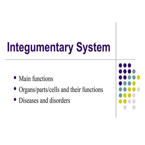 Integumentary system | PPT
