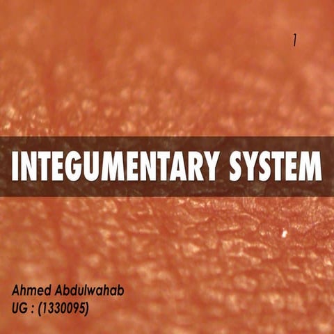 Integumentary system | PPT