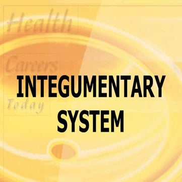 Integumentary System: Structure, Functions, and Importance | PPTX