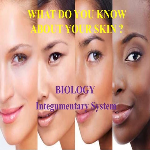 Integumentary system | PPT