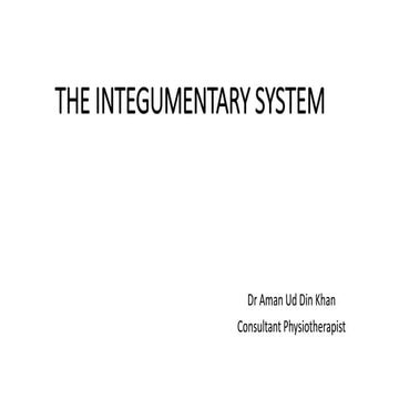 Integumentary System Pdf