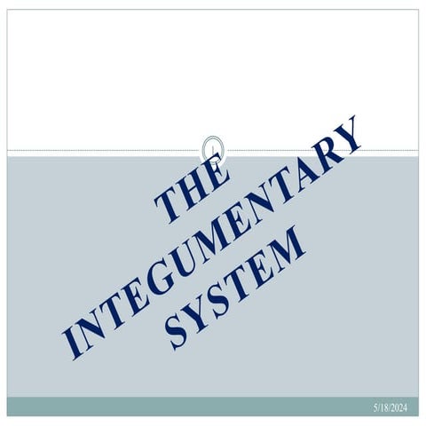 Anatomy of integumentary systems for.ppt