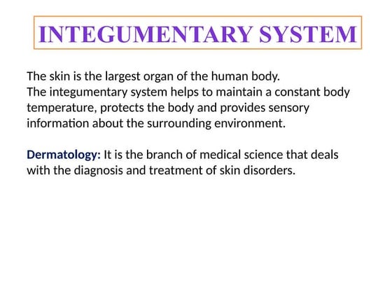 Structure and functions of the skin | PPT