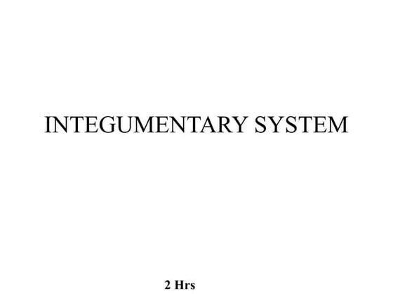 Skin anatomy and physiology | PPTX