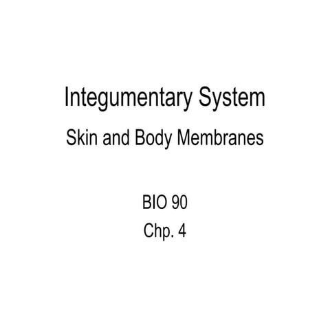 Integumentary System of the human bodyyy | PPT