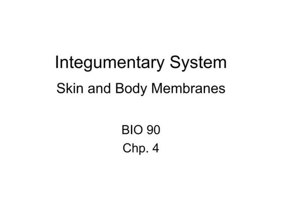 BIO 168 Anatomy & Physiology Integumentary System | PPT