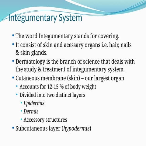 Integumentary System.pptx, Function and structure of skin | PPTX