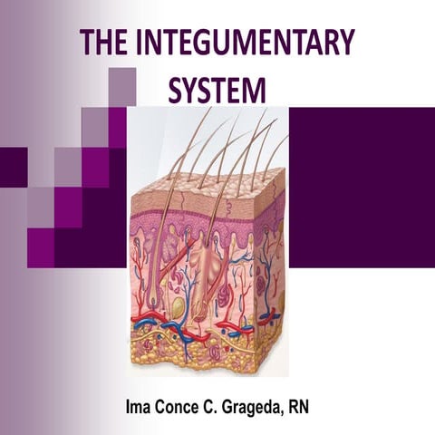 INTEGUMENTARY_System (1).pdf study of the skin | PDF