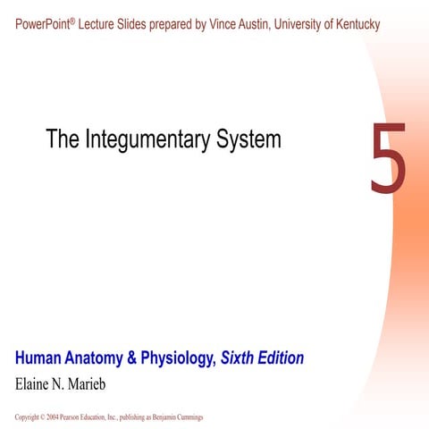 Integumentary system copy | PPTX
