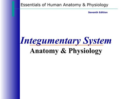 Integumentary system | PDF