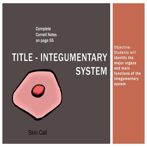 Integumentary system | PPTX