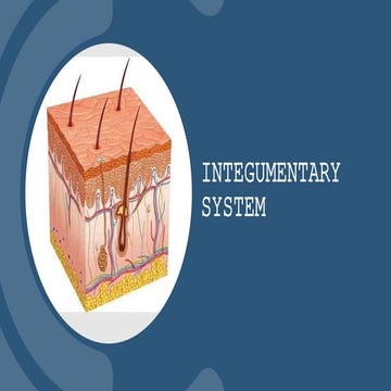 INTEGUMENTARY SYSTEM.pptx