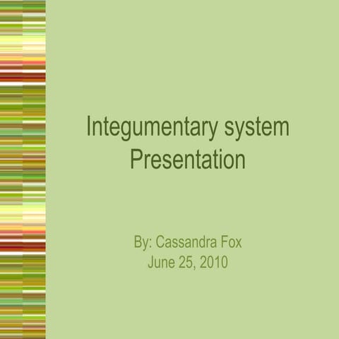Integumentary system presentation | PPT