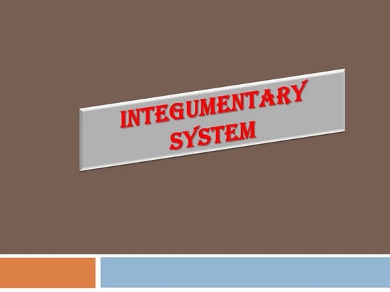 Corporate social responsibility (CSR) on Hospitals | PPT