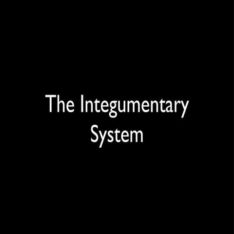 Integumentary system (student version) | PPT