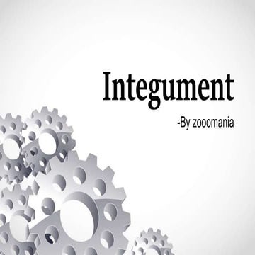 Integument | PPTX | Skin and Dermatology | Diseases and Conditions