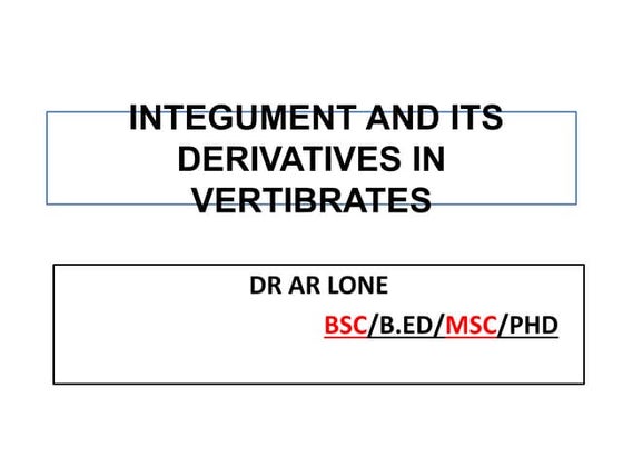 Integument of vertebrates | PPT