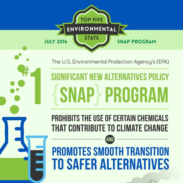 Intelex Top 5 Environmental Statistics – SNAP Program (Infographic) | PDF