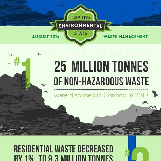 Intelex Top 5 Environmental Statistics - Recycling (Infographic) | PDF