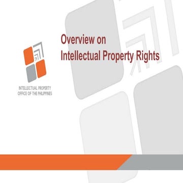 Intellectual Property Rights Overview.pptx
