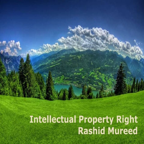 Intellectual property rights | PPT