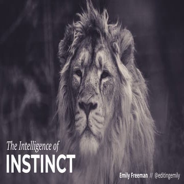 Intelligence of Instinct | PPT