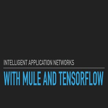 Intelligent Application Networks with Mule and Tensorflow | PPT