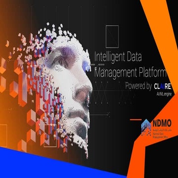 Intelligent Data Management NDMO_Data Catalog and Metadata Domain ...