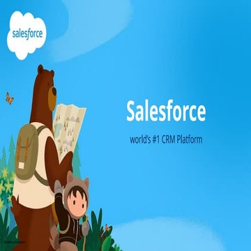 Demo_Salesforce_CRM_Begineeer_Level_pptx | PPTX