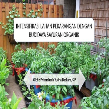 intensifikasi lahan pekarangan dengan budidaya sayuran organik.pptx