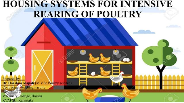 Backyard & semi intensive rearing of Poultry.pptx