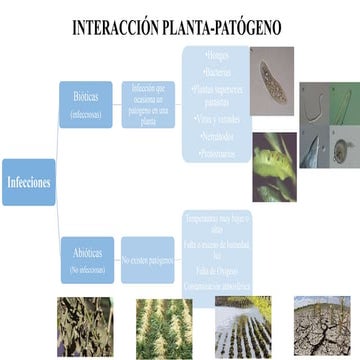 interacción entre de planta-patogeno.pptx