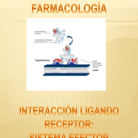 Interacción ligando receptor | PPTX
