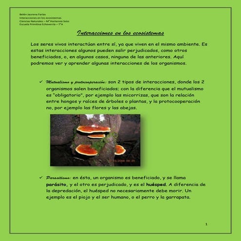 Interacciones en los ecosistemas | DOCX