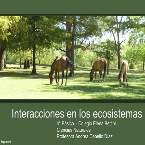Interacciones Y Ecosistemas
