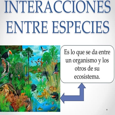 Interacciones Y Ecosistemas