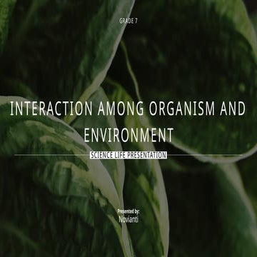 project on Ecosystem(EVS) | DOCX