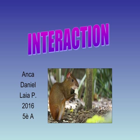 Animals Interaction | PPT