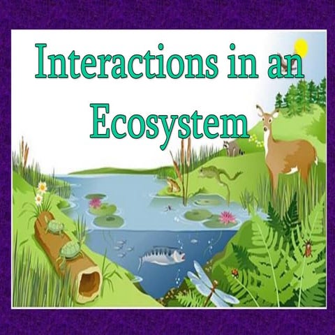 Interaction in an Ecosystems for Grade 7 | PDF