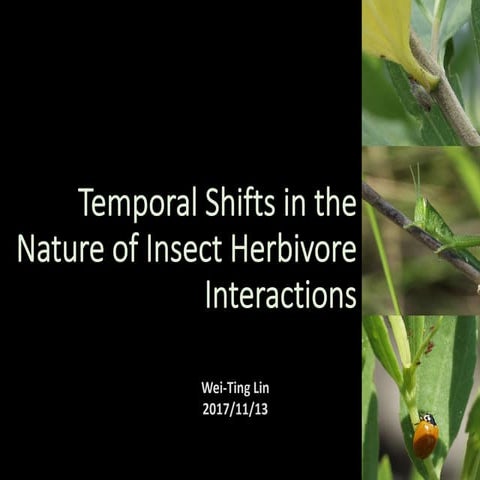 Interaction network of three insect herbivores | PDF