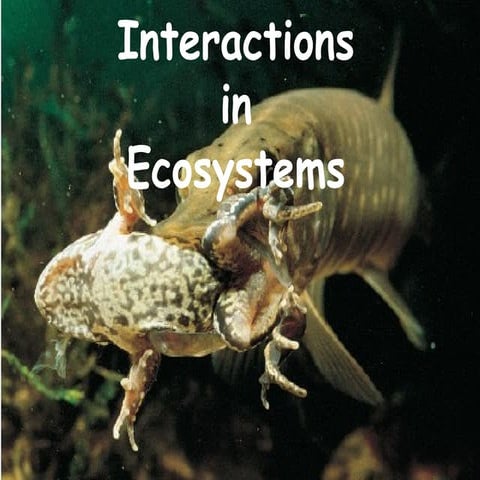 Interactions_in_Ecosystem_Full_Explanation.ppsx