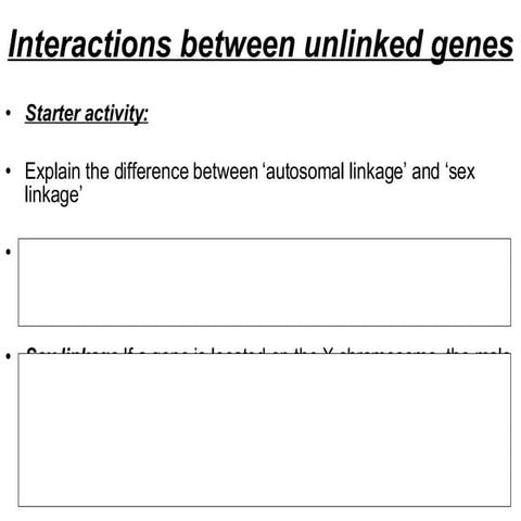 Interactions Between Unlinked Genes 7 | PPT