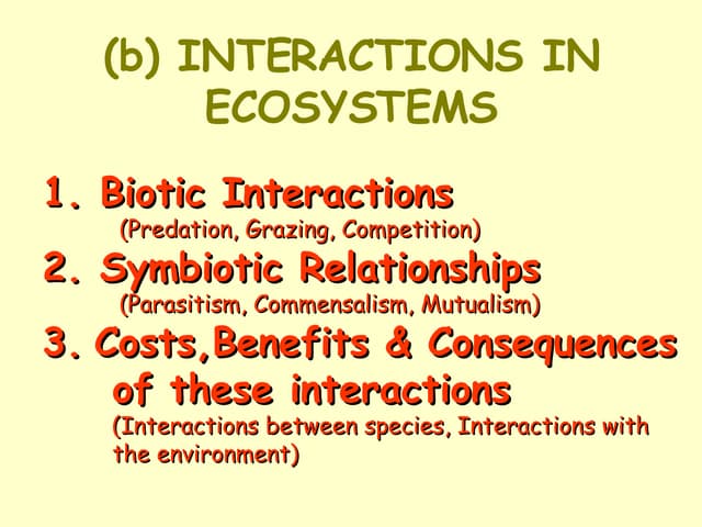 Symbiotic Relationships | PPT