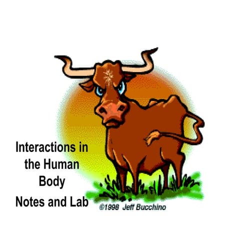 Interactions-in-the-Human-Body-NXPowerLite.ppt