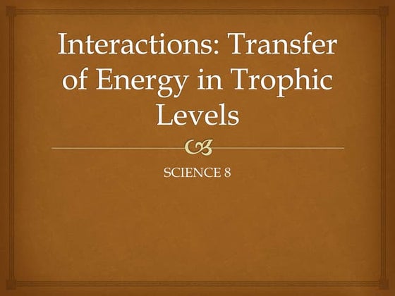 Trophic levels energy and pyramids | PPT