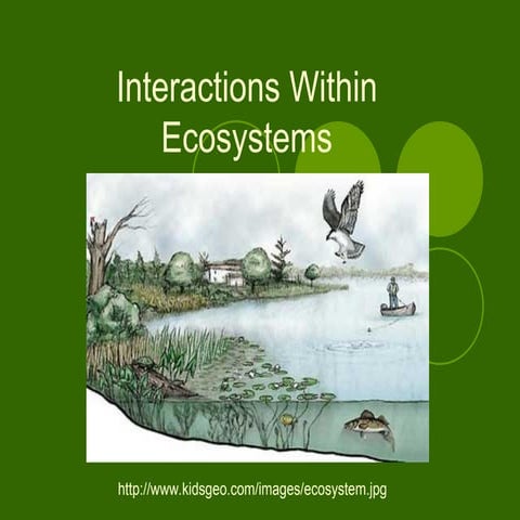 Sample Ppt On Interactions Within Ecosystems Ppt