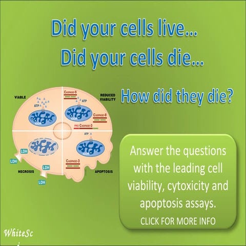 Interactive Cell Analysis Compressed | PPS | Chemistry | Science
